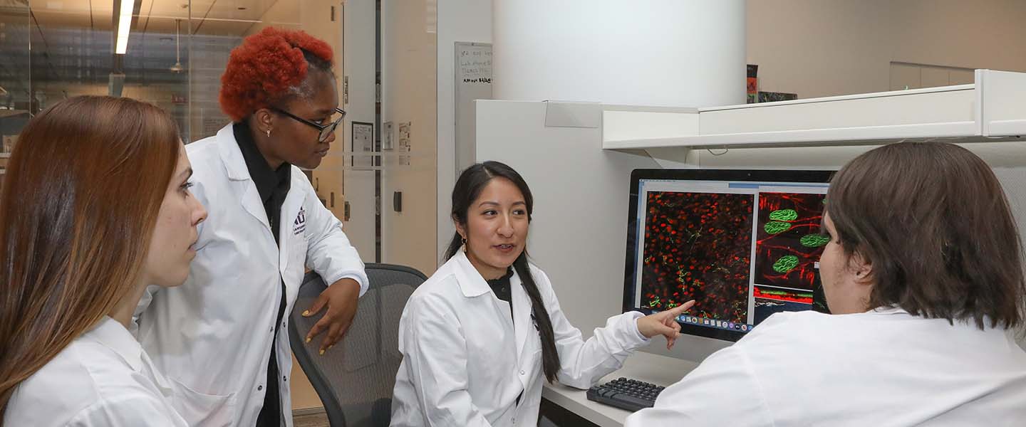 Research: Arispe Lab: Feinberg School of Medicine: Northwestern University